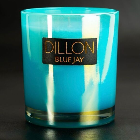 dillon candles | Accents | Luxury Scented Candle Dilloncandles Blue Jay ...